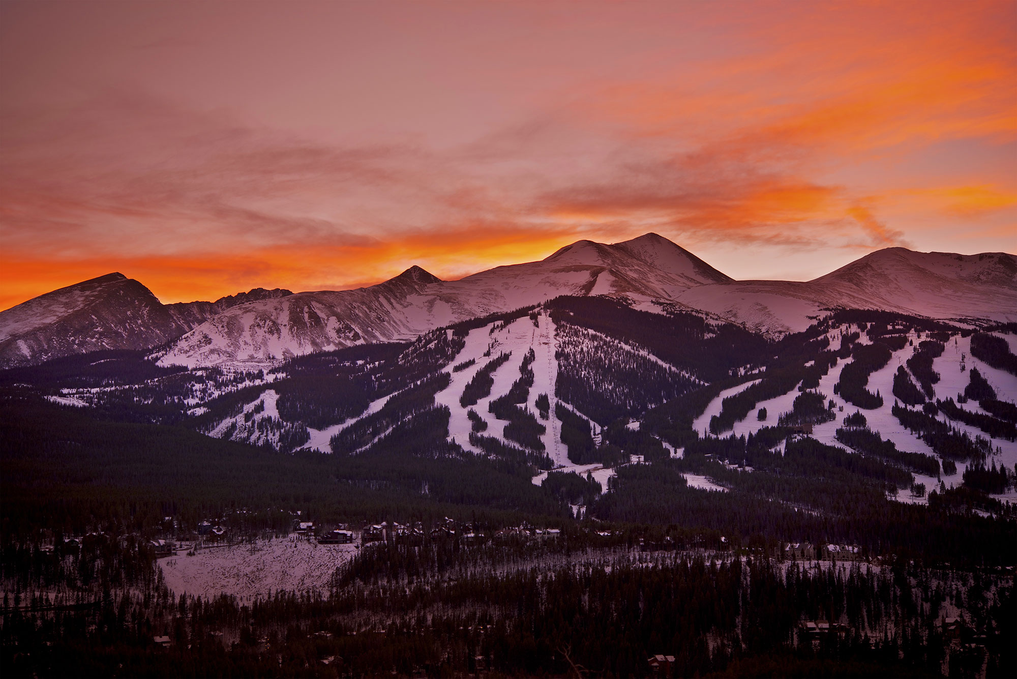 Colorado Veterinarian Jobs | Career Opportunities | Suveto