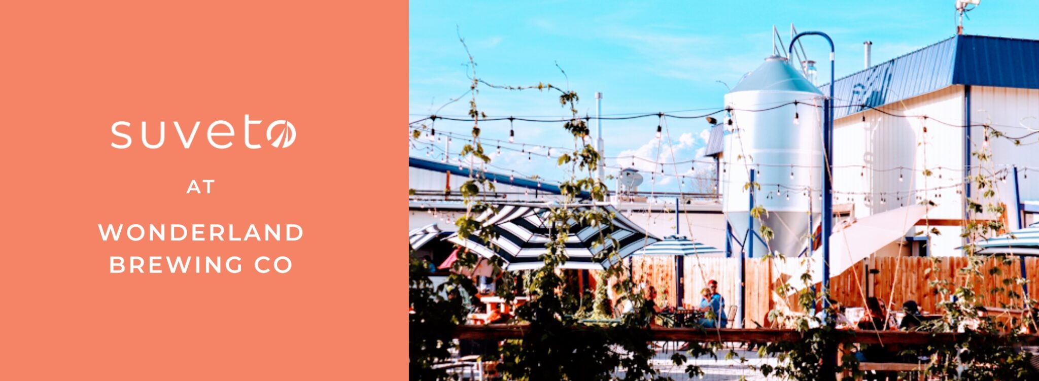 AVMA Social Event: Veterinarian Gathering in Colorado | Suveto