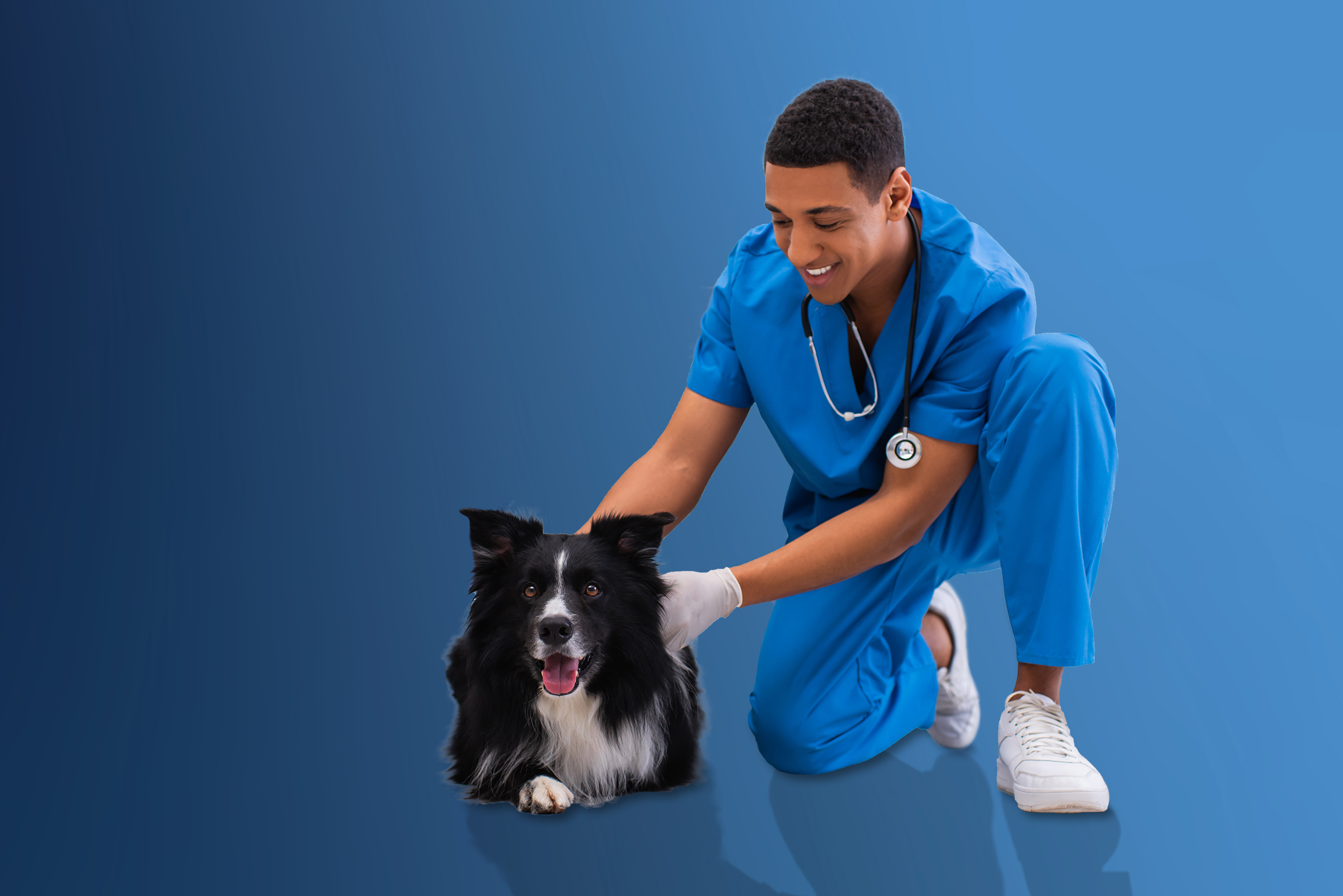 Celebrating Black History Month in Your Veterinary Practice: A Guide to ...