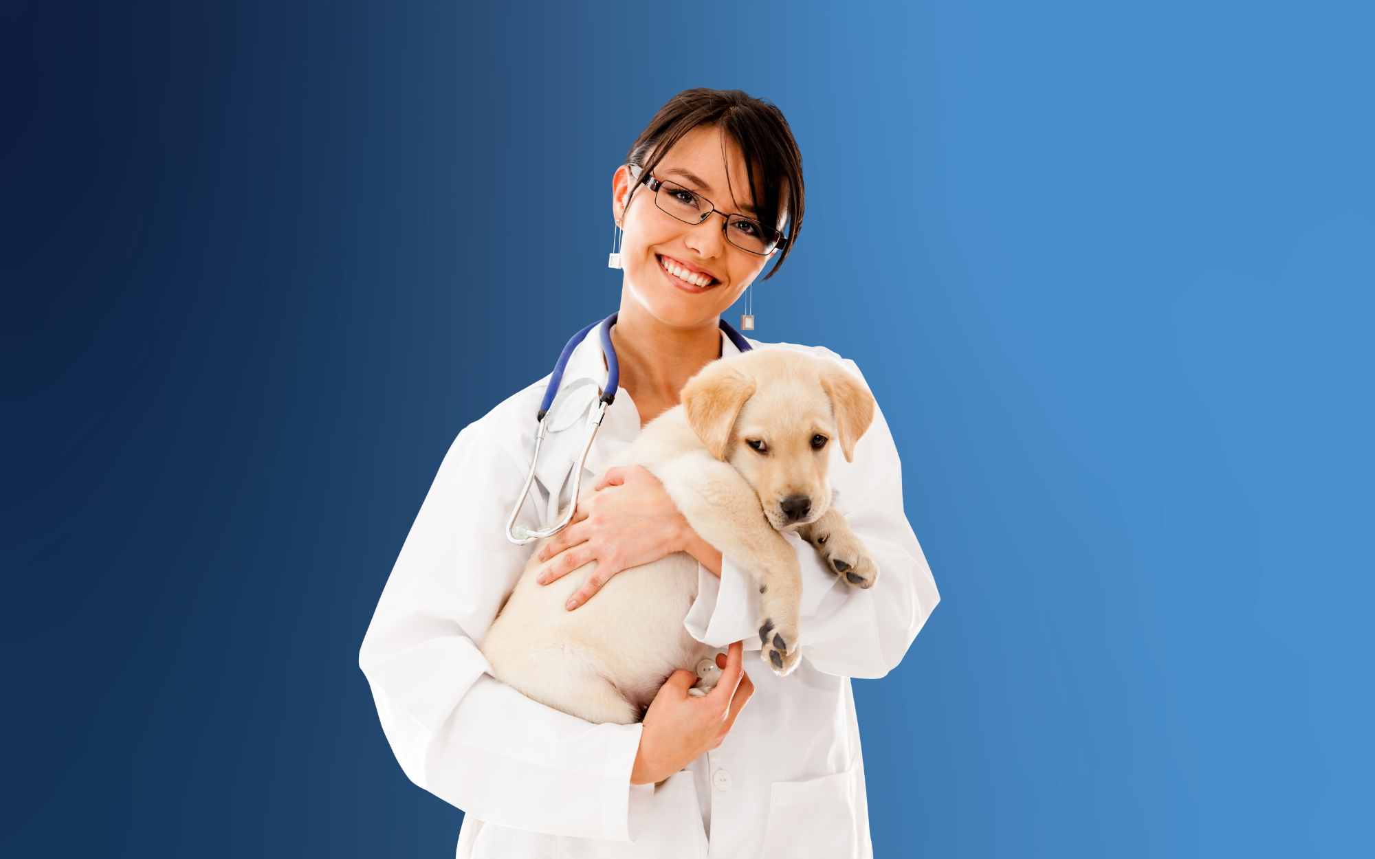 What is an Emergency Veterinary Technician’s Salary? - Suveto