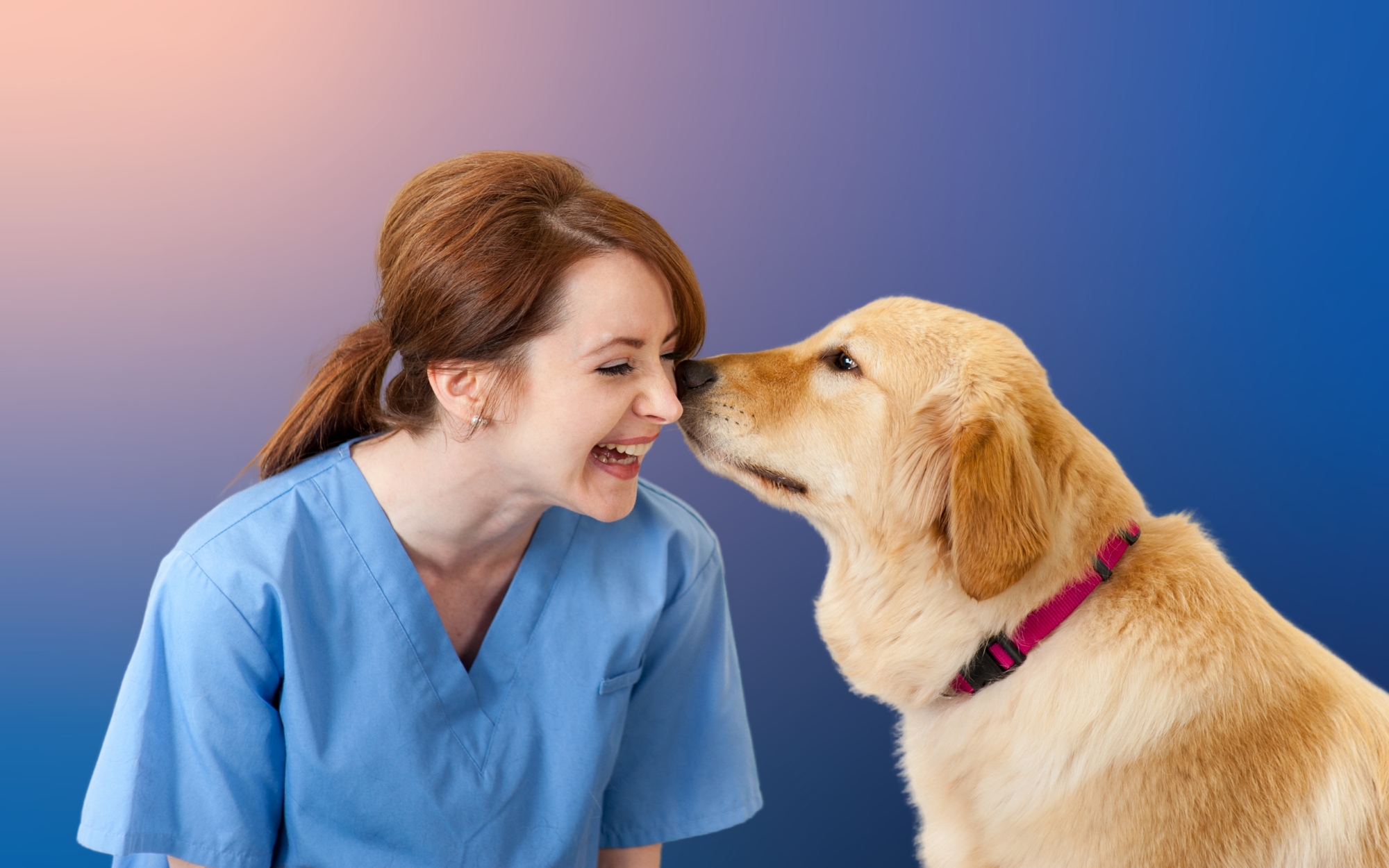 From Associate to Leader: How Vets Can Grow Without Leaving Clinical ...