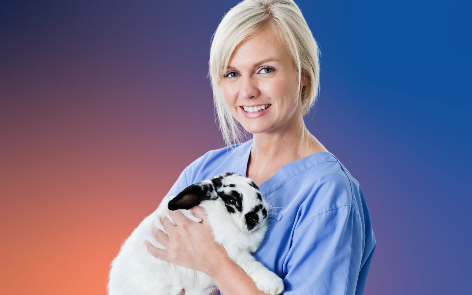 Supporting Veterinary Ownership | Suveto | Hospital Network